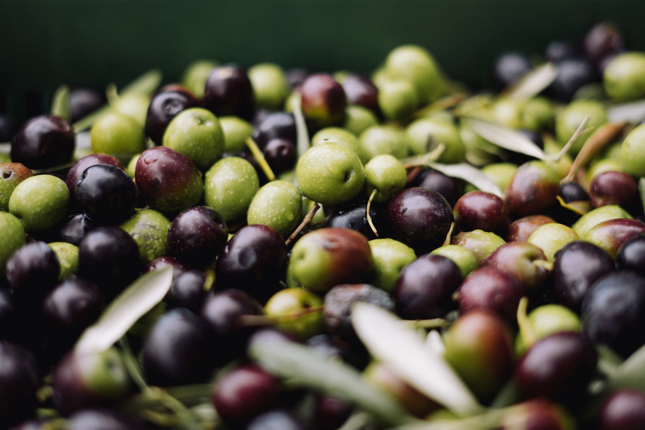 Authentic Extra Virgin Olive Oil: A Consumer's Guide – St Nicholas ...
